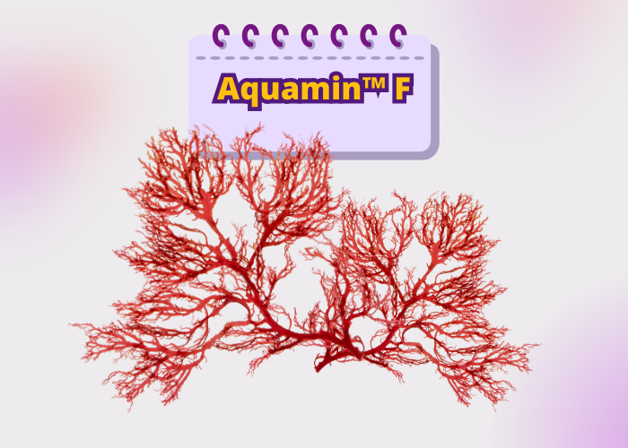 Aquamin™ F là gì? Tại sao nên bổ sung Aquamin™ F cho trẻ nhỏ? – NuBest Tall